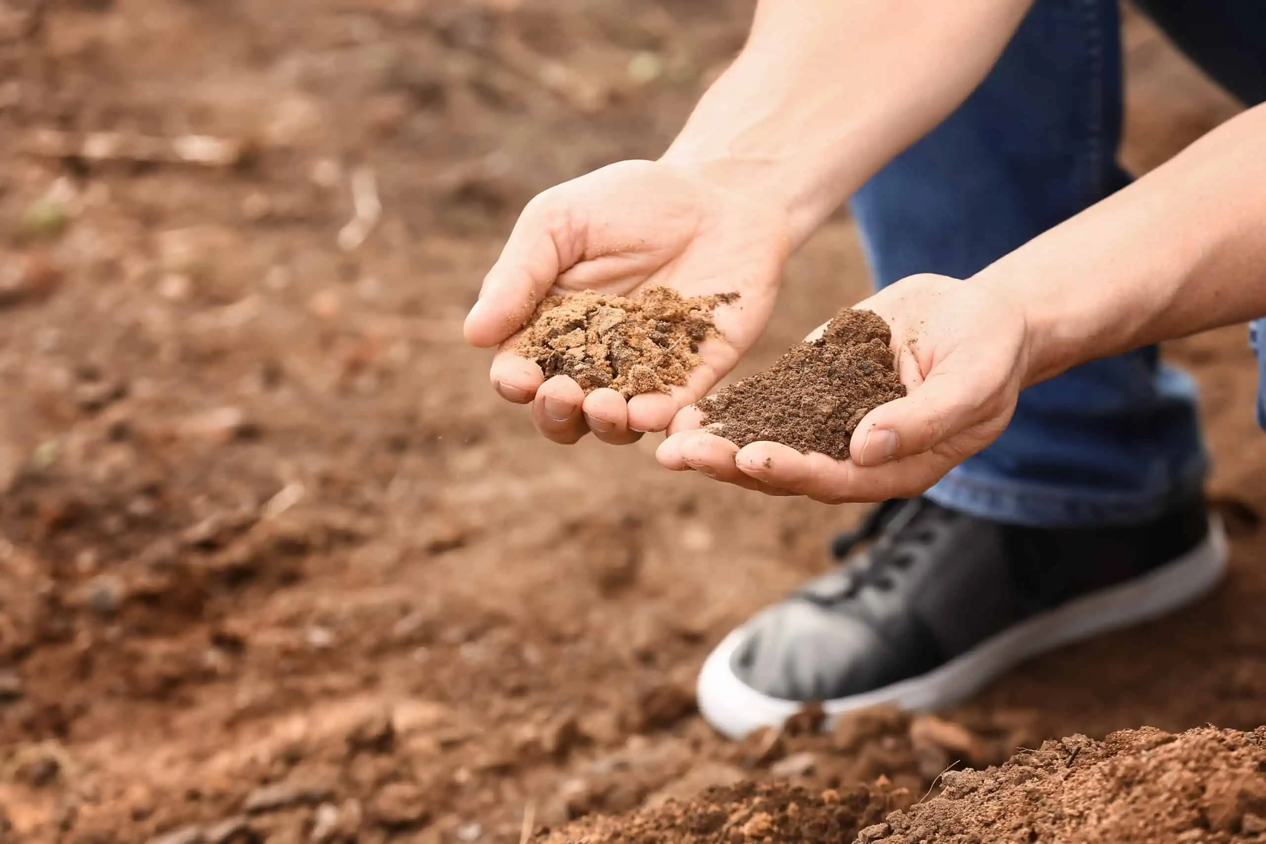 Chicago Soil Testing: Landscaping & Construction Guide